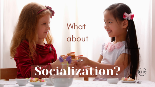 What About Socialization? - Everyday Homemaking