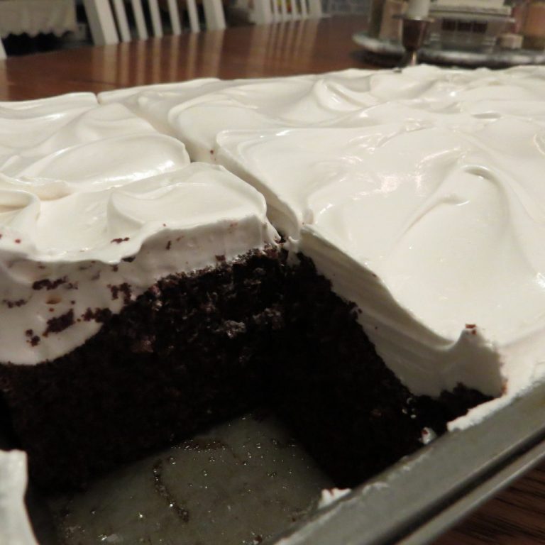 Family Favorite Chocolate Cake - Everyday Homemaking